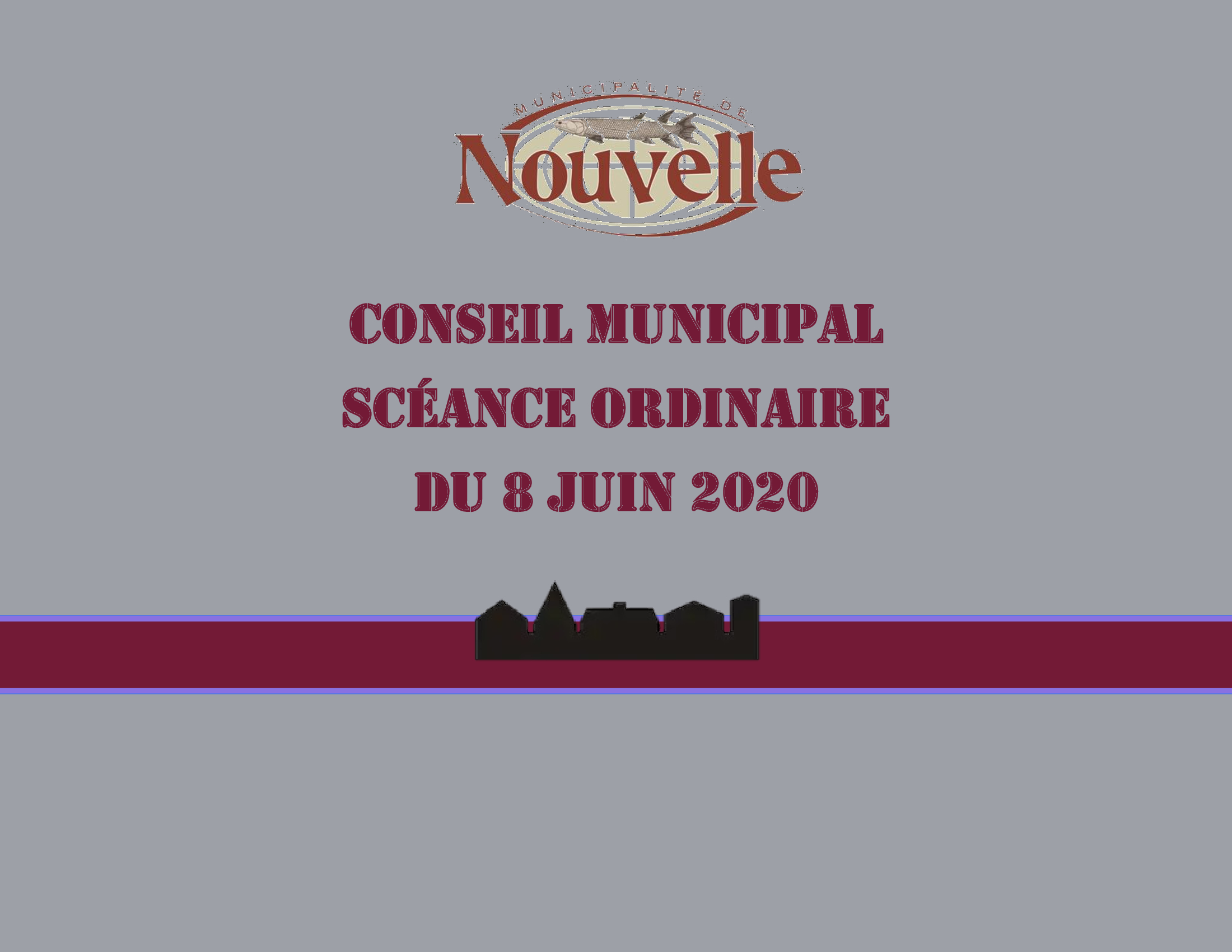 Séance ordinaire du conseil municipal du 8 juin 2020 - Municipalité de Nouvelle