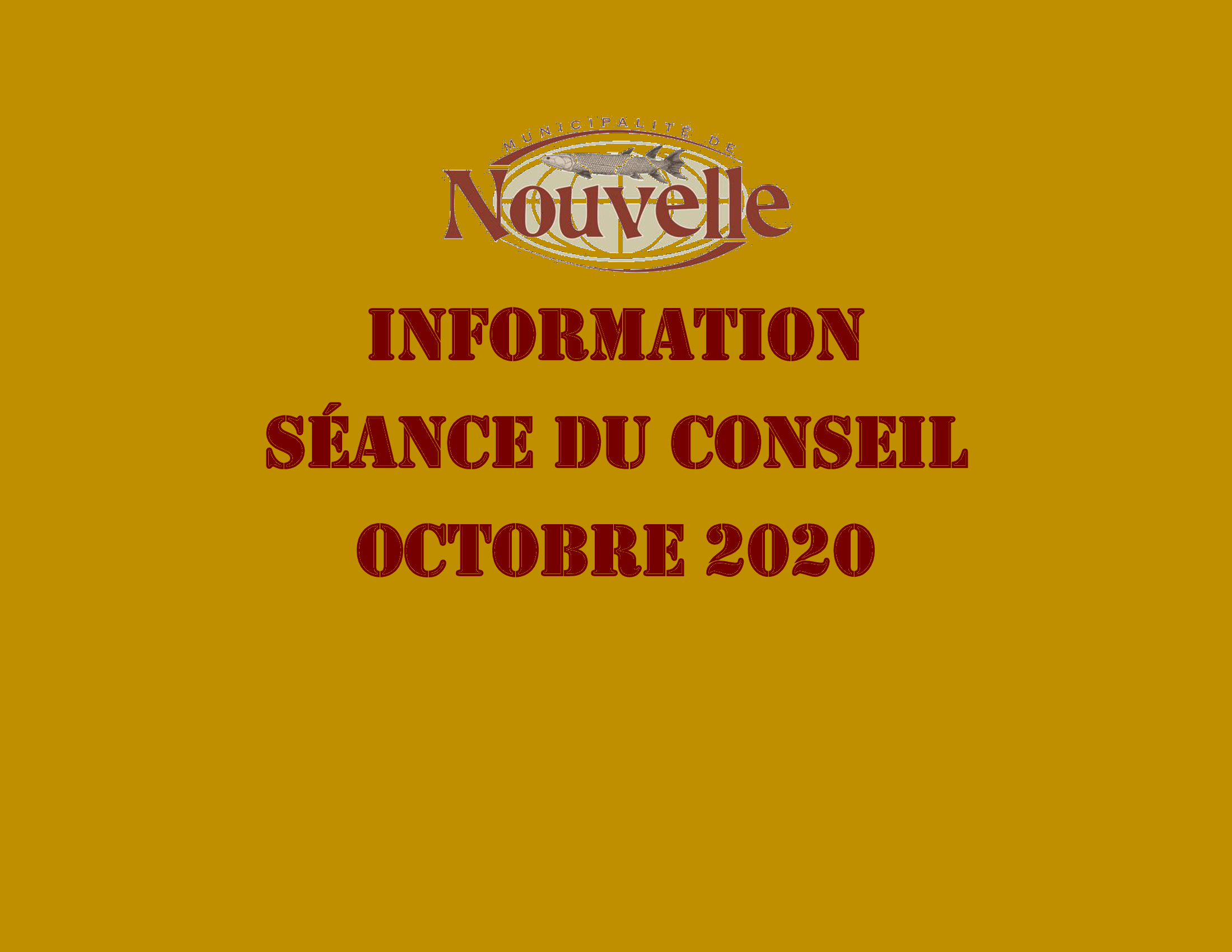 Séance ordinaire du conseil municipal de Nouvelle-octobre 2020 - Municipalité de Nouvelle